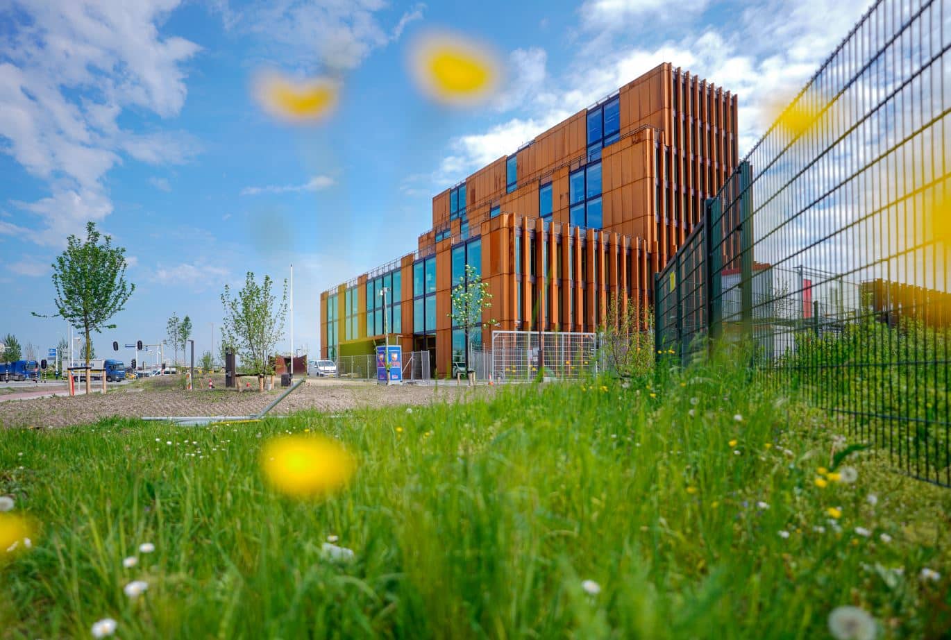 Alliander - Maas & Hagoort